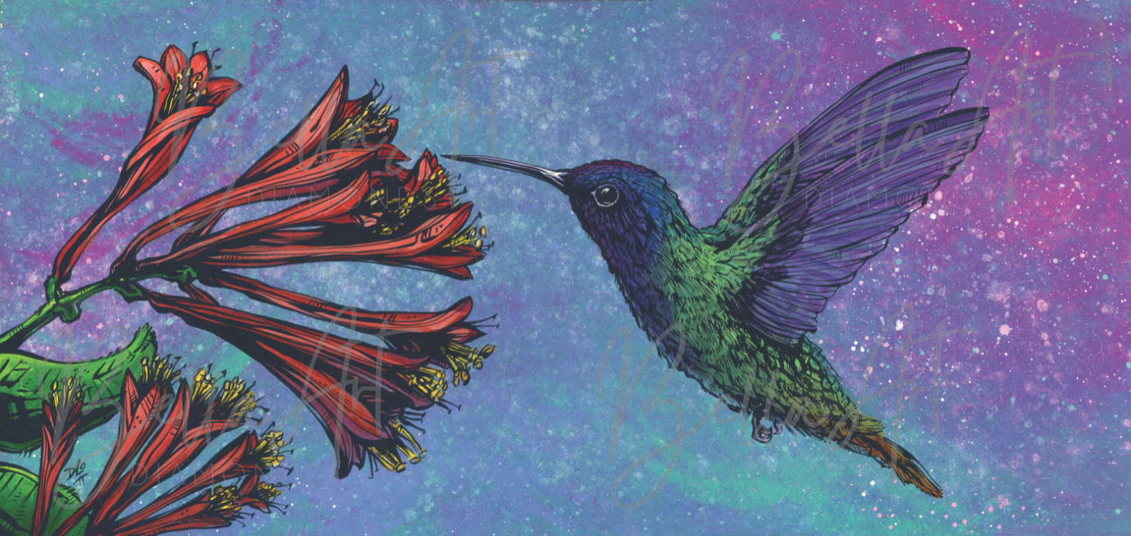 The Hummingbird – Bella Art de Nicole